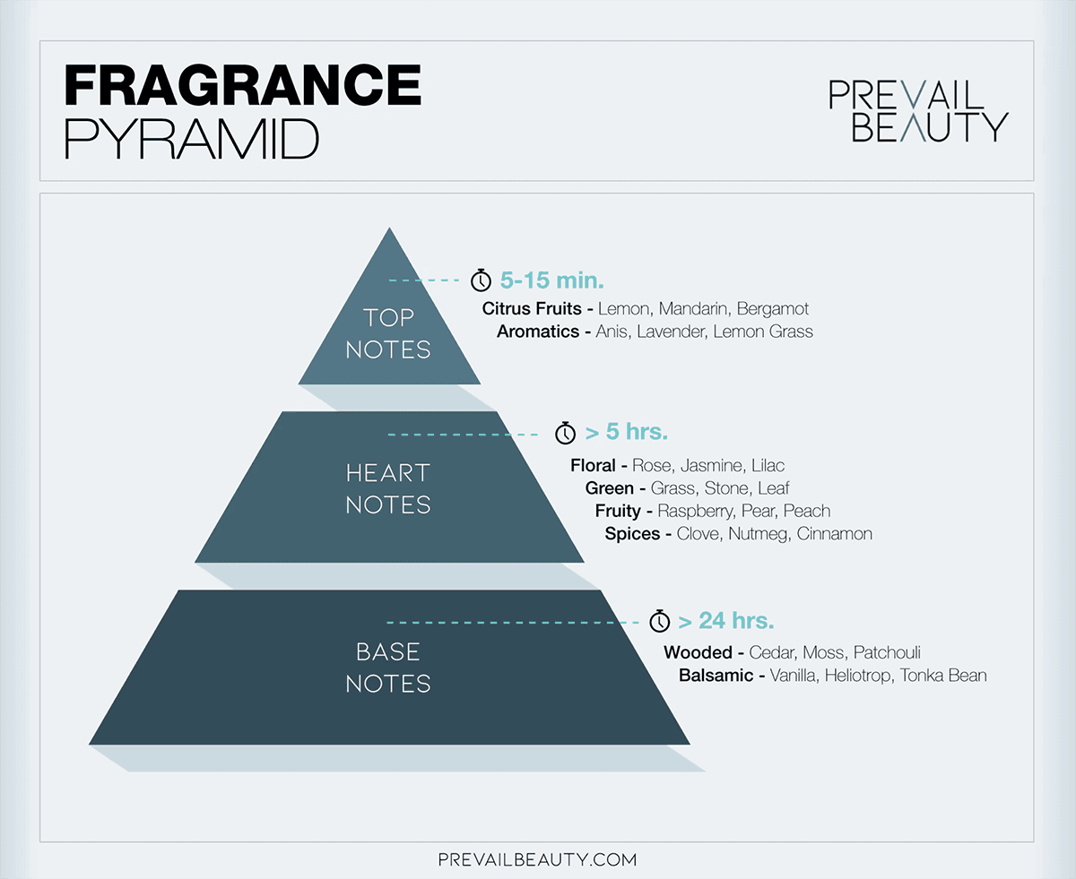 Notes of Perfume: A Comprehensive Guide to Fragrance Layers - PVB