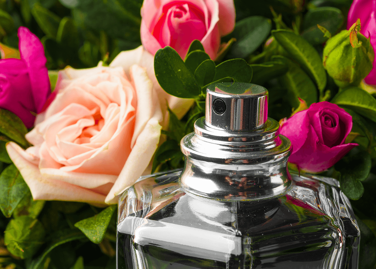 Fragrance Guide: Understanding the Difference Between Perfume and ...